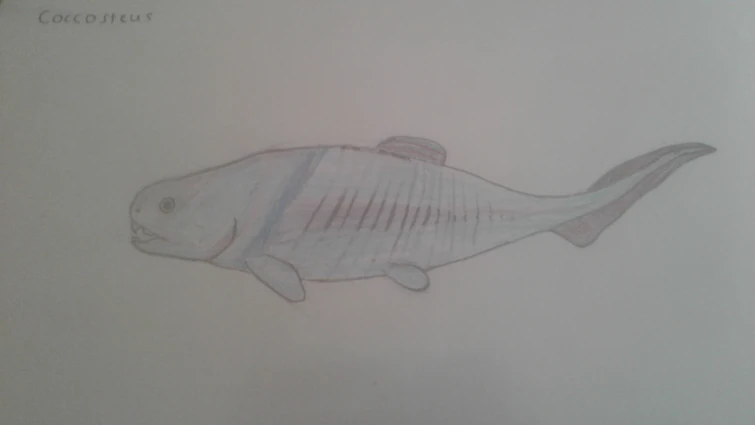 I drew a Coccosteus | Fandom
