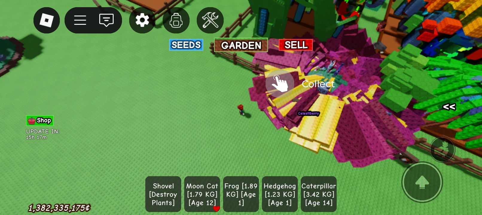 What should I do next? | Fandom