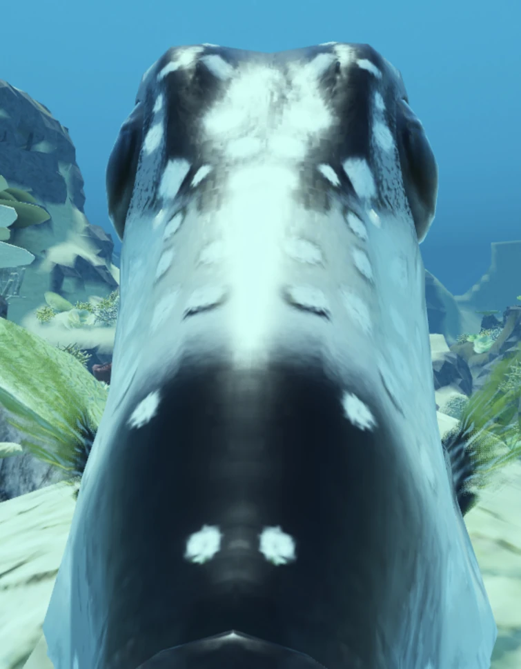 Discuss Everything About Oceanic (ROBLOX) Wiki | Fandom