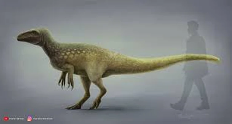 Megaraptor tree | Fandom