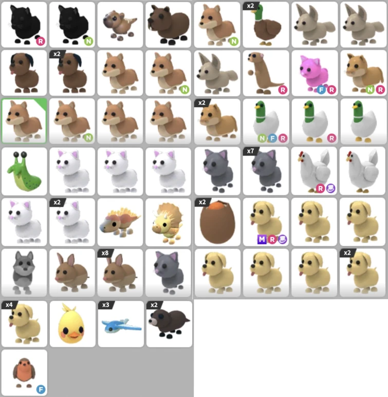 Pet Inventory Clean Out🩶 | Fandom