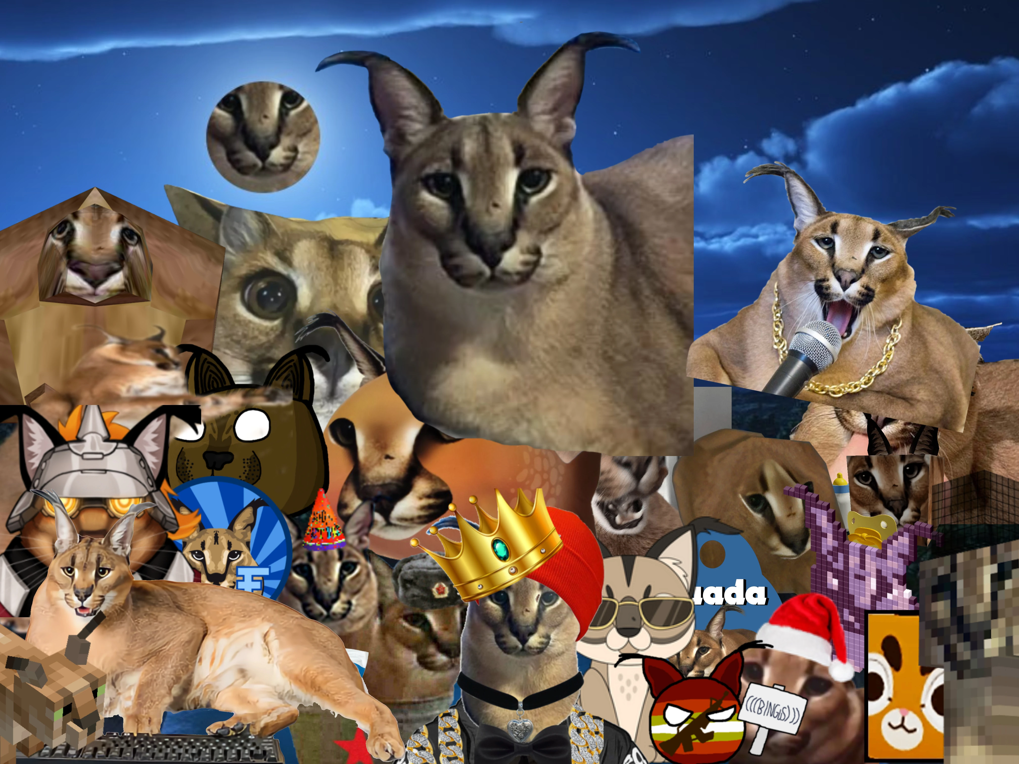 Use this background for the next anniversary of Floppapedia | Fandom