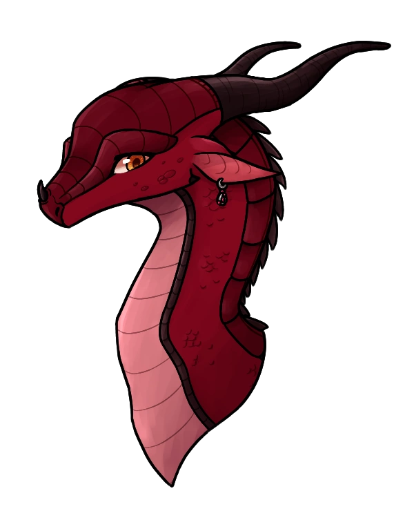 is that ruby from hit book series wings of fire | Fandom