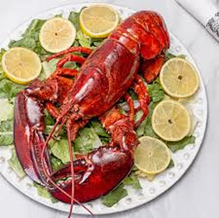 new brain rot | Fandom