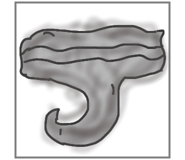 Wind Fruit Concept | Fandom