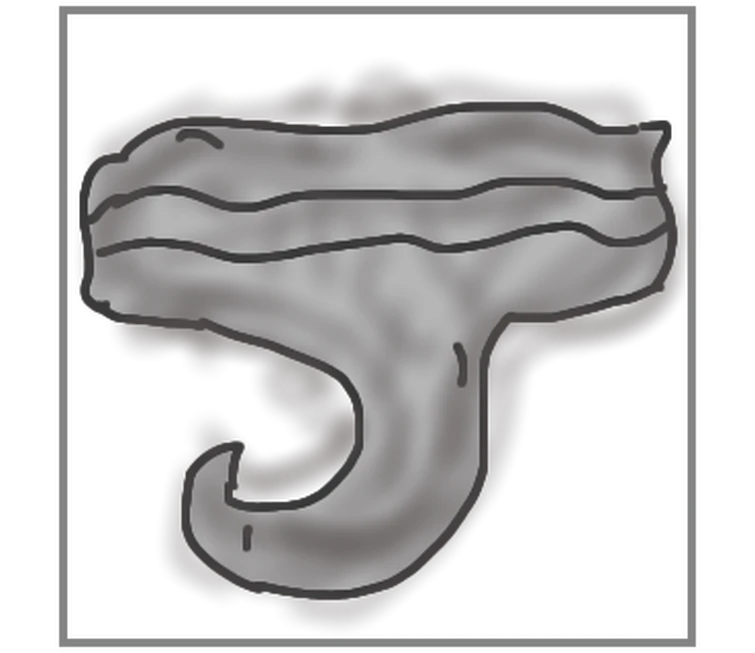 Wind Fruit Concept | Fandom