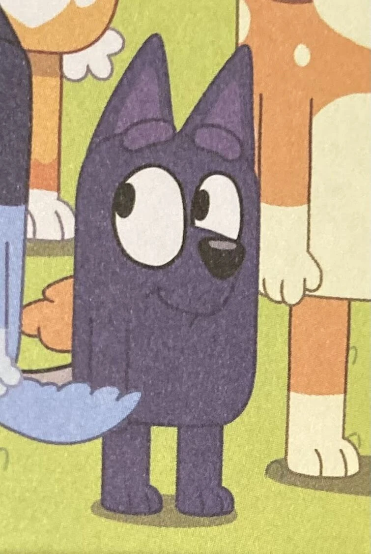 Background characters from Here's Bluey Book, photos by KittyGoesBark ...