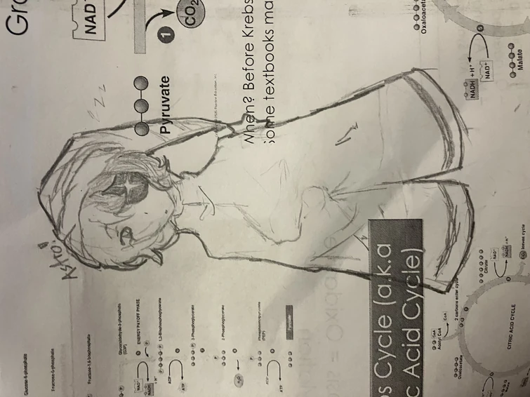 human astro...🔥🔥 | Fandom