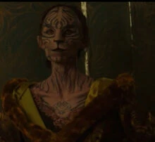 Tigris | 24th Hunger Games Wiki | Fandom