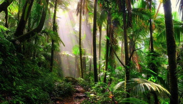 65th Hunger Games | 24th Hunger Games Wiki | Fandom