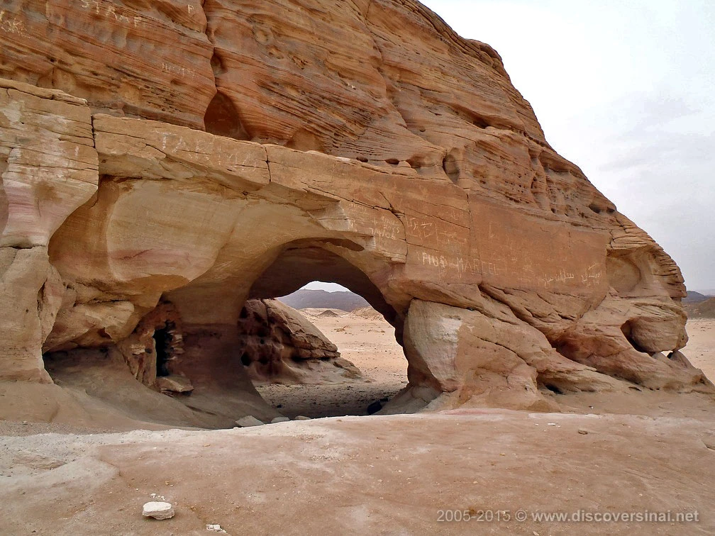 17th Hunger Games | 24th Hunger Games Wiki | Fandom