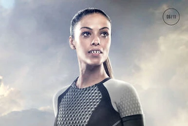 The Hunger Games Catching Fire Cashmere