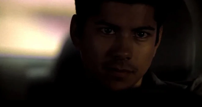 1981 | Wiki 24 | Fandom