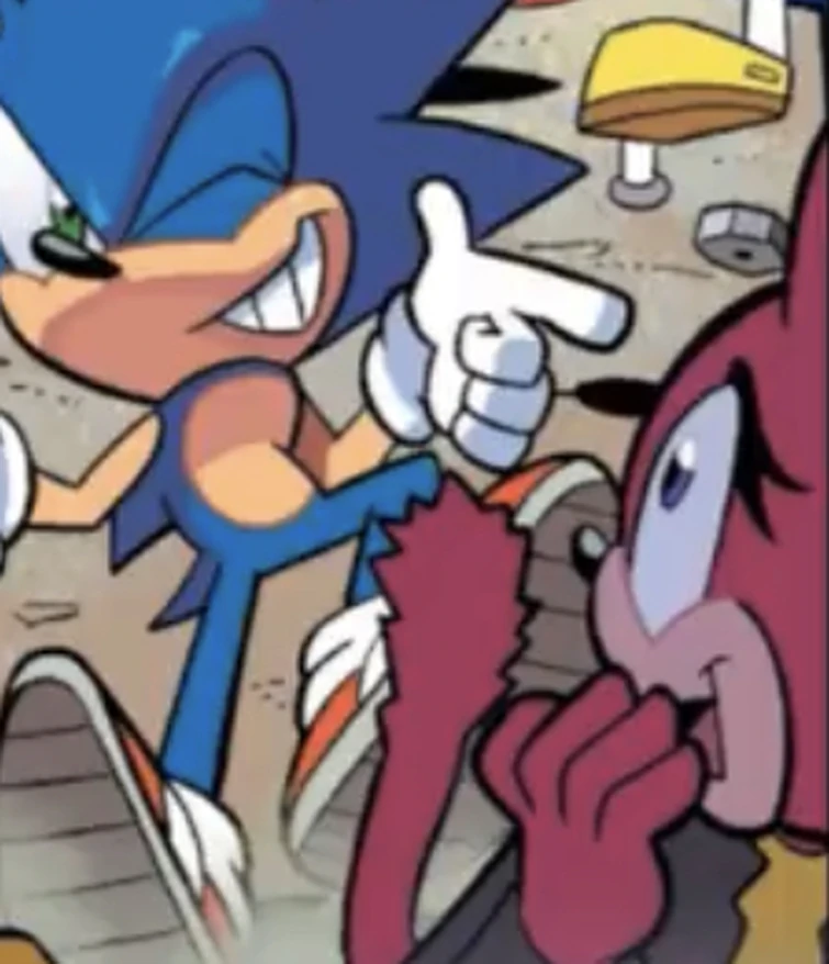 How would you guys feel if IDW Sonic got a new love interest that isn’t ...