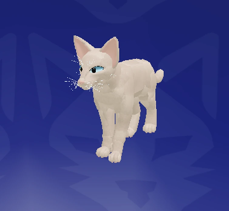 Bingus morph | Fandom