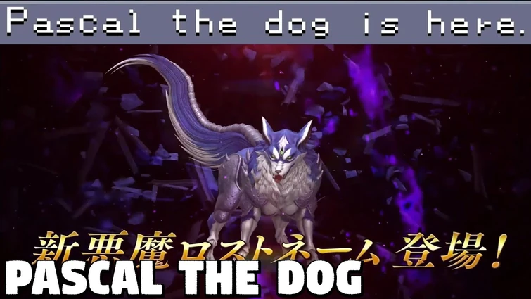 They added Pascal, the SMT I protagonist’s pet dog, to SMT Dx2!!!! | Fandom
