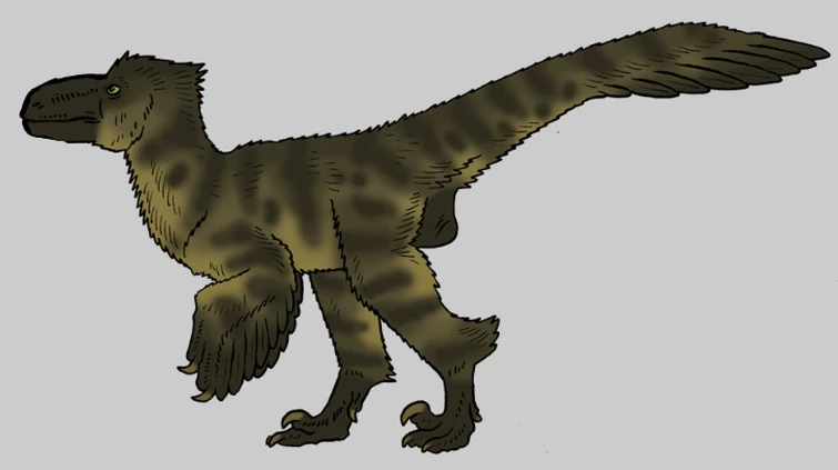 Discuss Everything About Megaran Wiki | Fandom