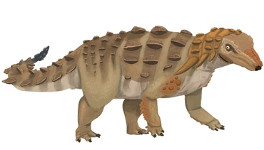 Primal battle S1 GD5 | Fandom