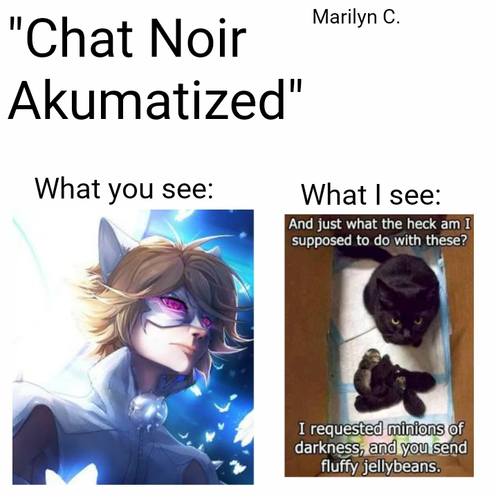 Akumatized Heroes #1 | Fandom