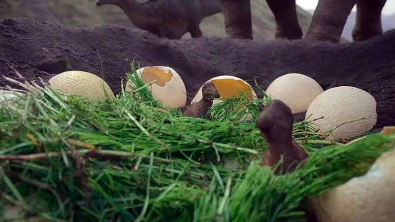 Yeeeeeee Hawwwwww | Fandom