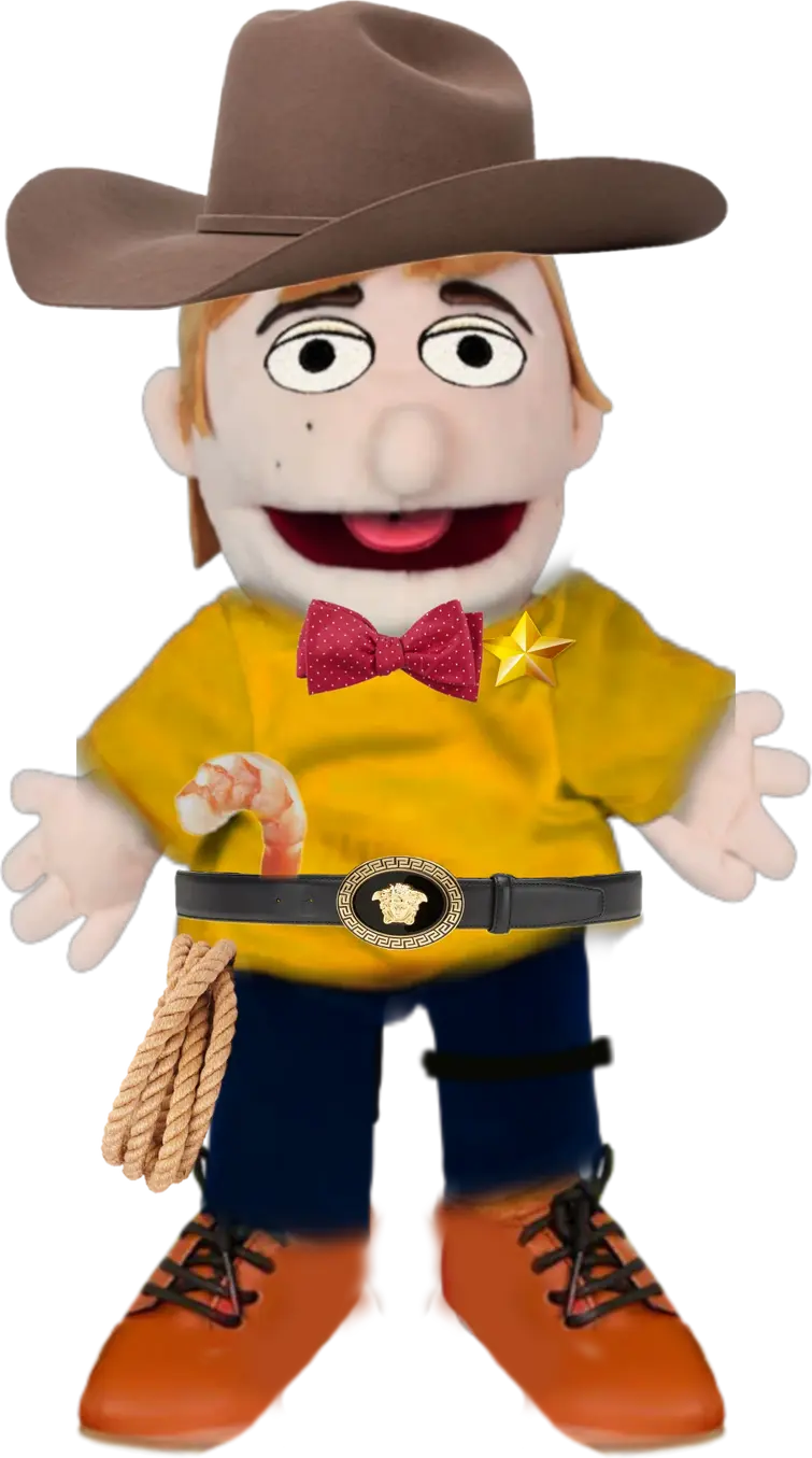 Woody Puppet I Made. | Fandom