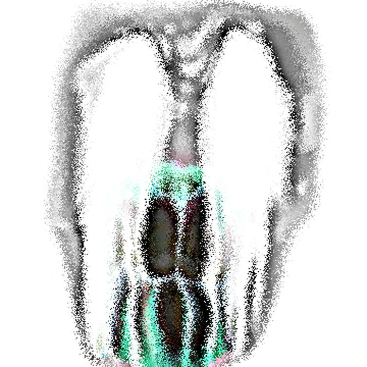 Discuss Everything About Rooms: Fixed Expanded Official Wiki | Fandom