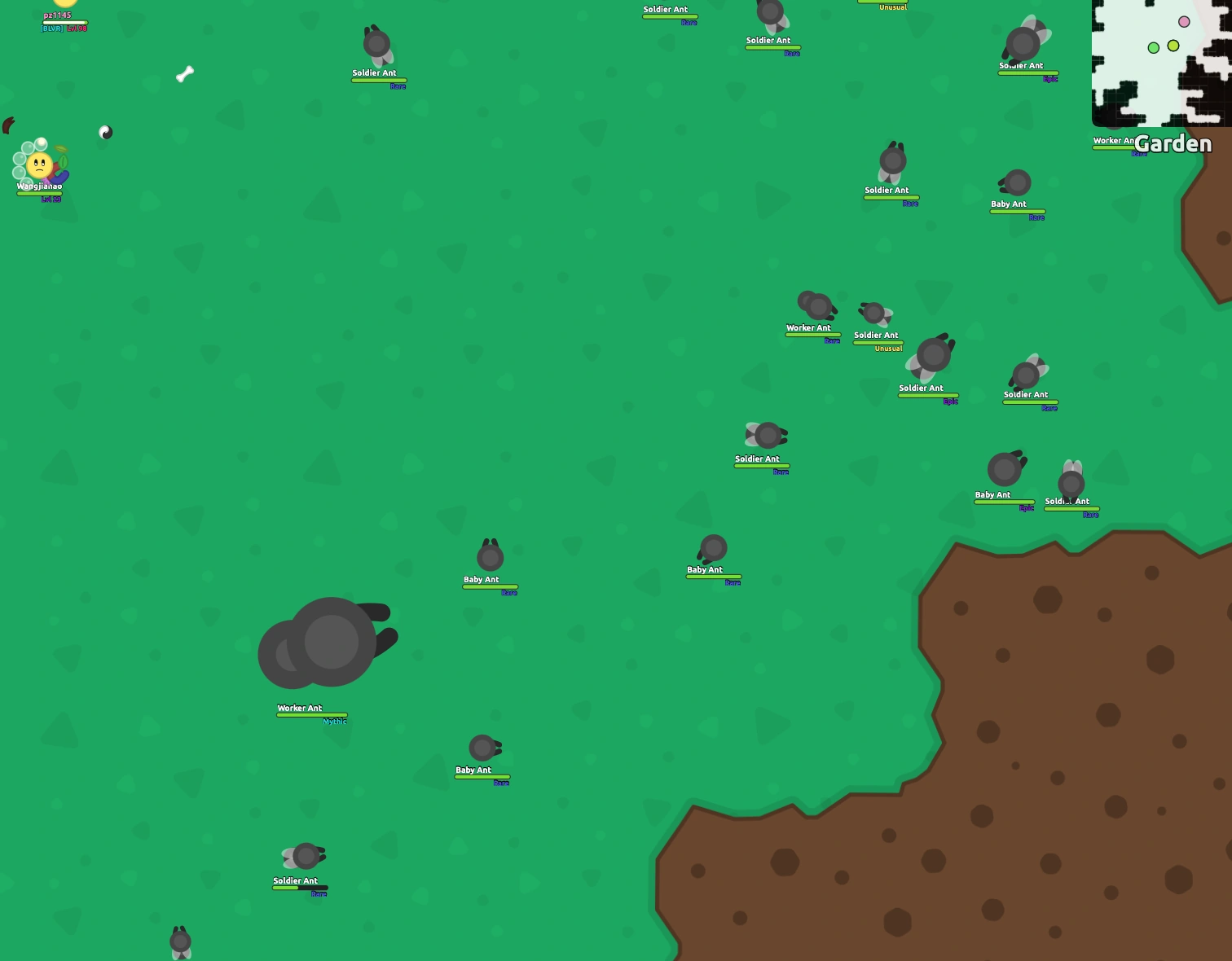 Rare m worker ant spawn | Fandom