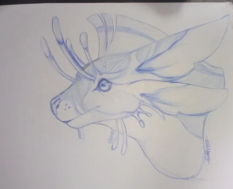 Local CoS digital artist with mild Kiridian obsession draws on paper ...