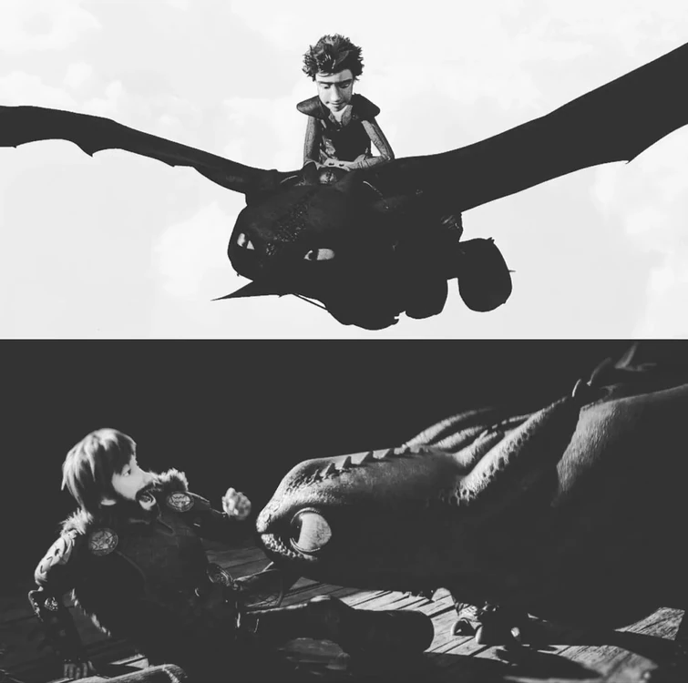 Hiccup And Toothless! 🖤🤍 | Fandom