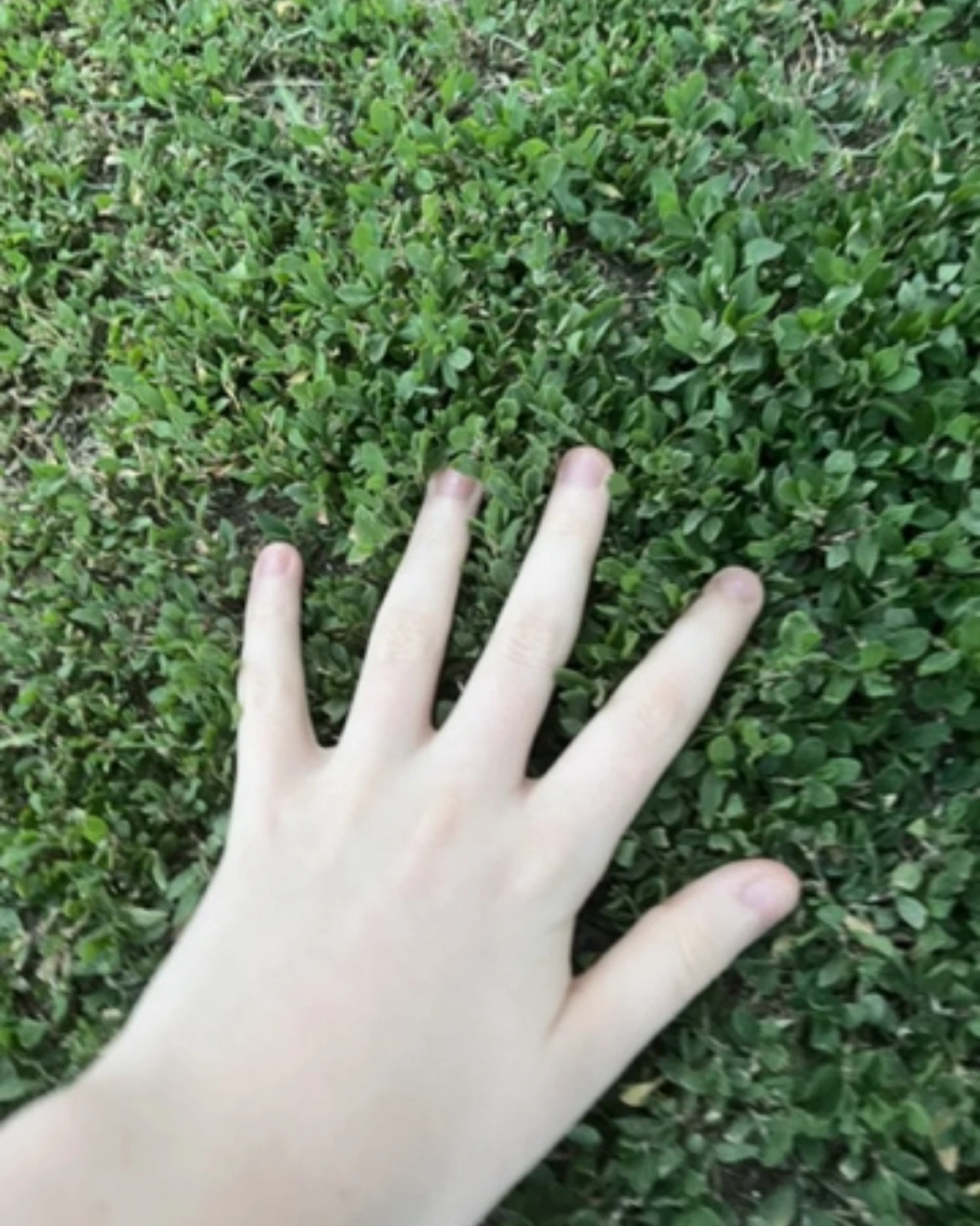 real footage of a genshin player touching grass | Fandom