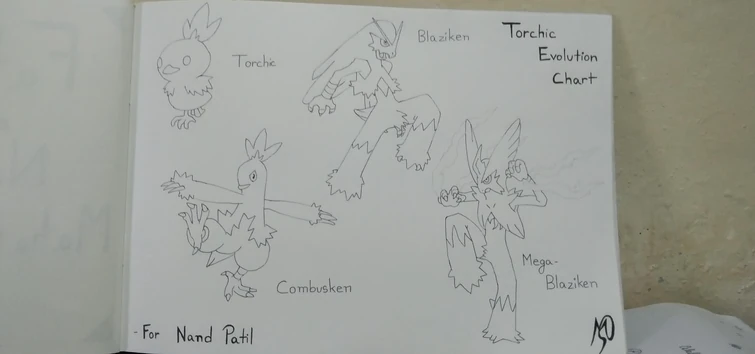Pokemon Torchic evolution chart | Fandom