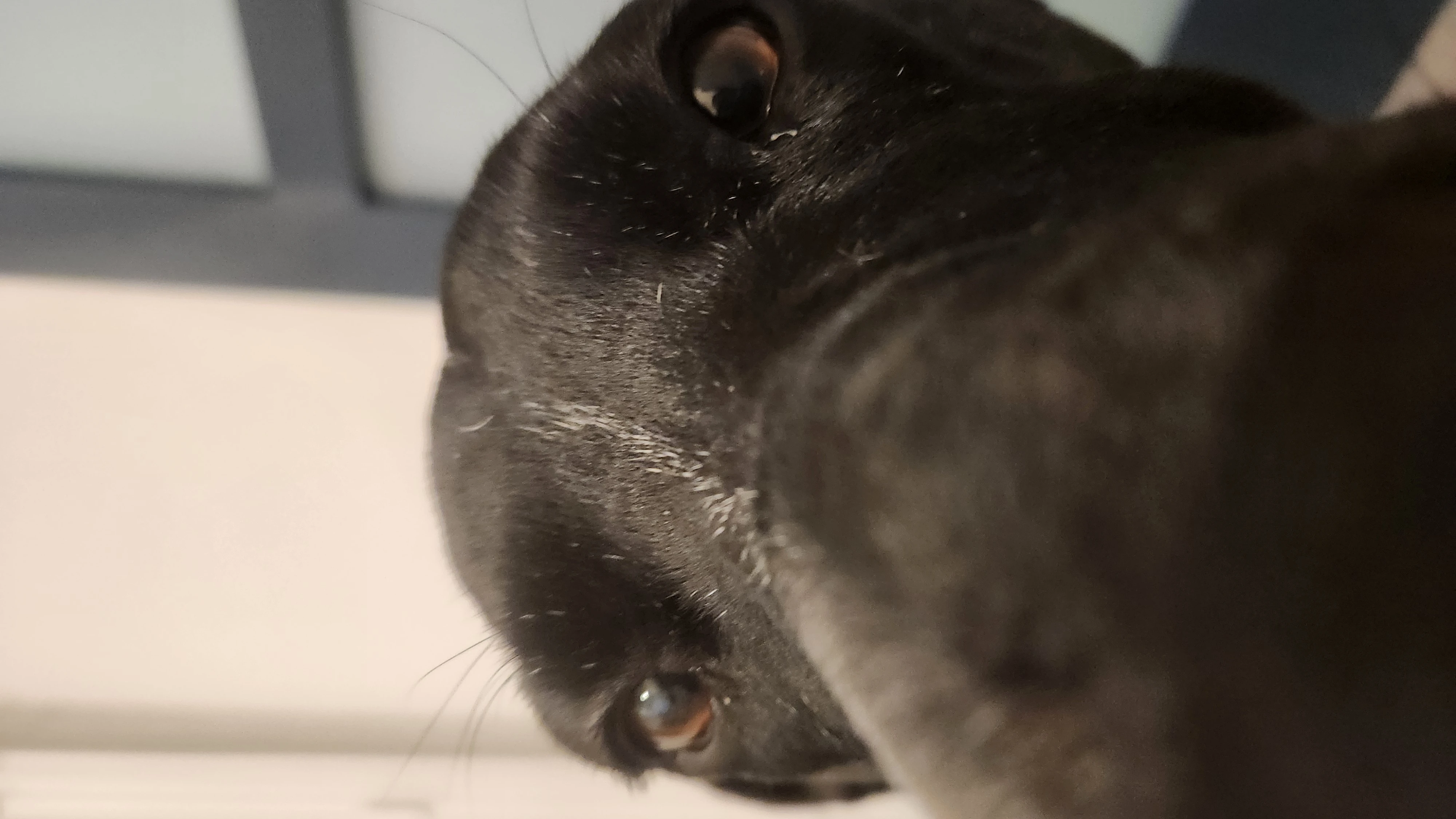 Pssst, hey you 🫵 | Fandom