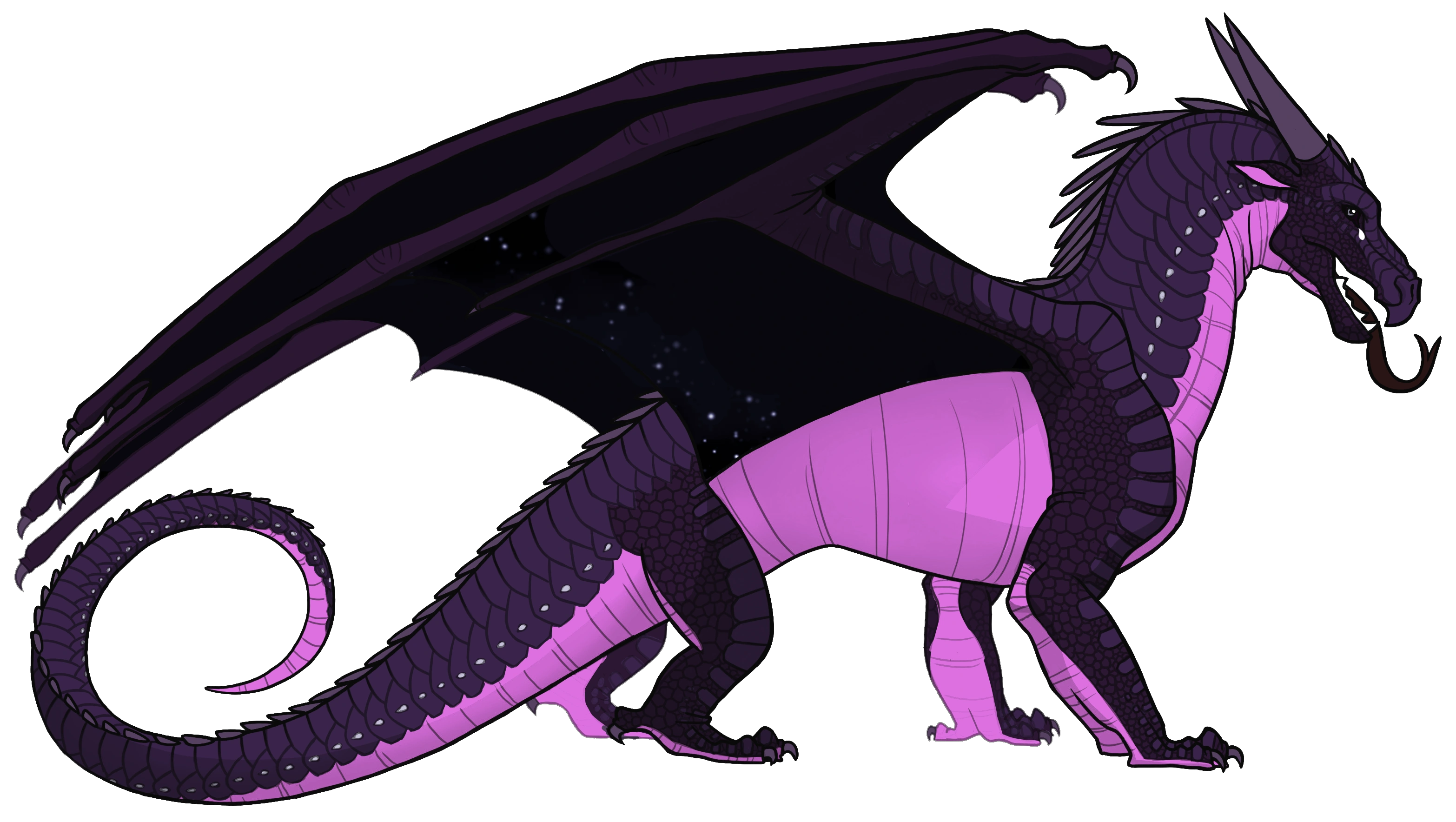 A NightWing Adopt (taken) | Fandom