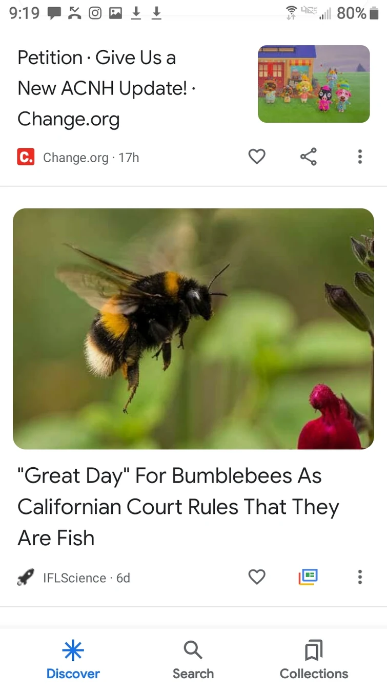 You heard it here folks, bees are officially fish! | Fandom