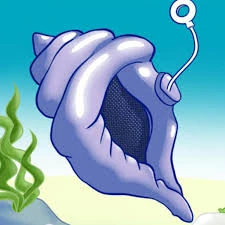ALL HAIL THE MAGIC CONCH! | Fandom