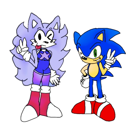 2 silly hedgehogs | Fandom