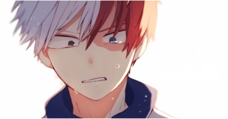 The Real Reason Why Todoroki Asked Deku If He Was All Might's Secret ...
