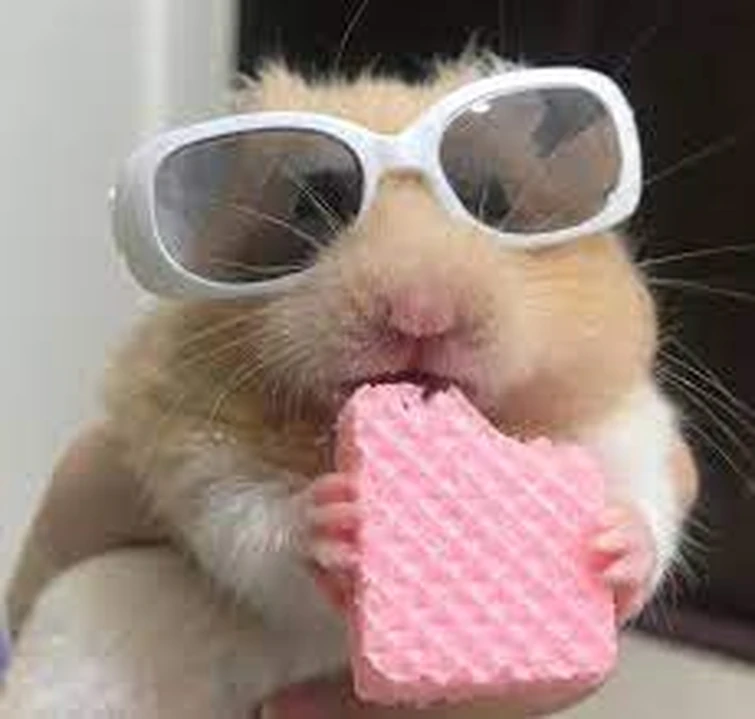 rate my "prepiy" 😍🥰😘 pfp 🥵😱😱 | Fandom