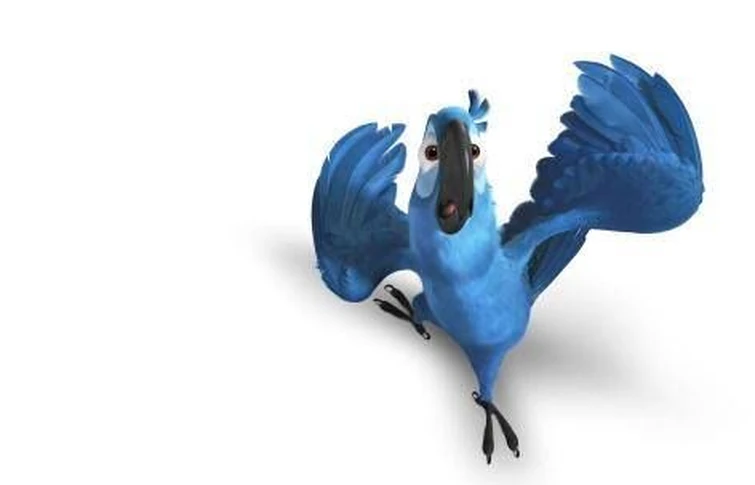 Discuss Everything About Rio Wiki | Fandom