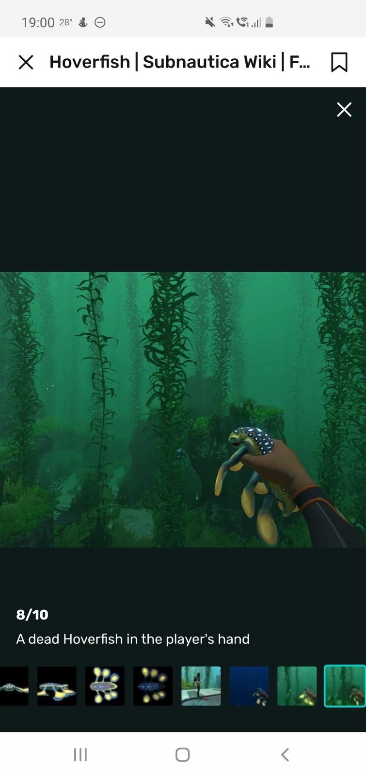 Discuss Everything About Subnautica Wiki | Fandom