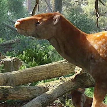 Discuss Everything About Prehistoric Kingdom Wiki | Fandom