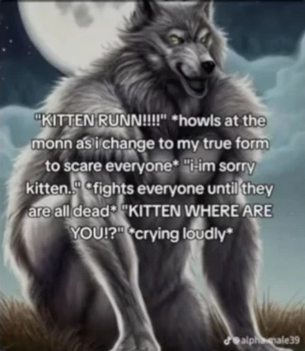 Actual question about people here (mini rant?) | Fandom