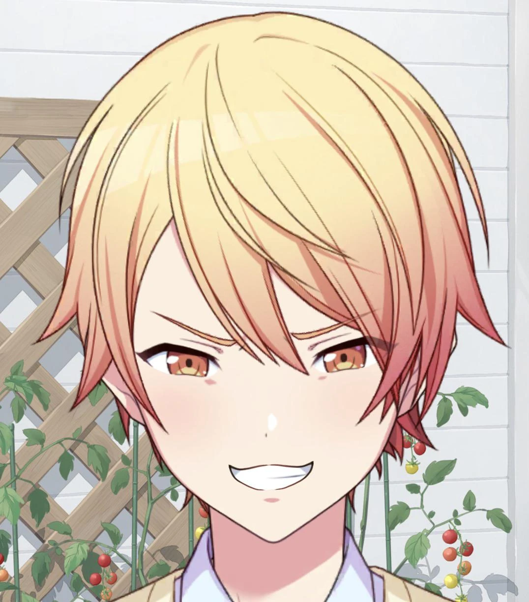 Tsukasa the scrunkle | Fandom