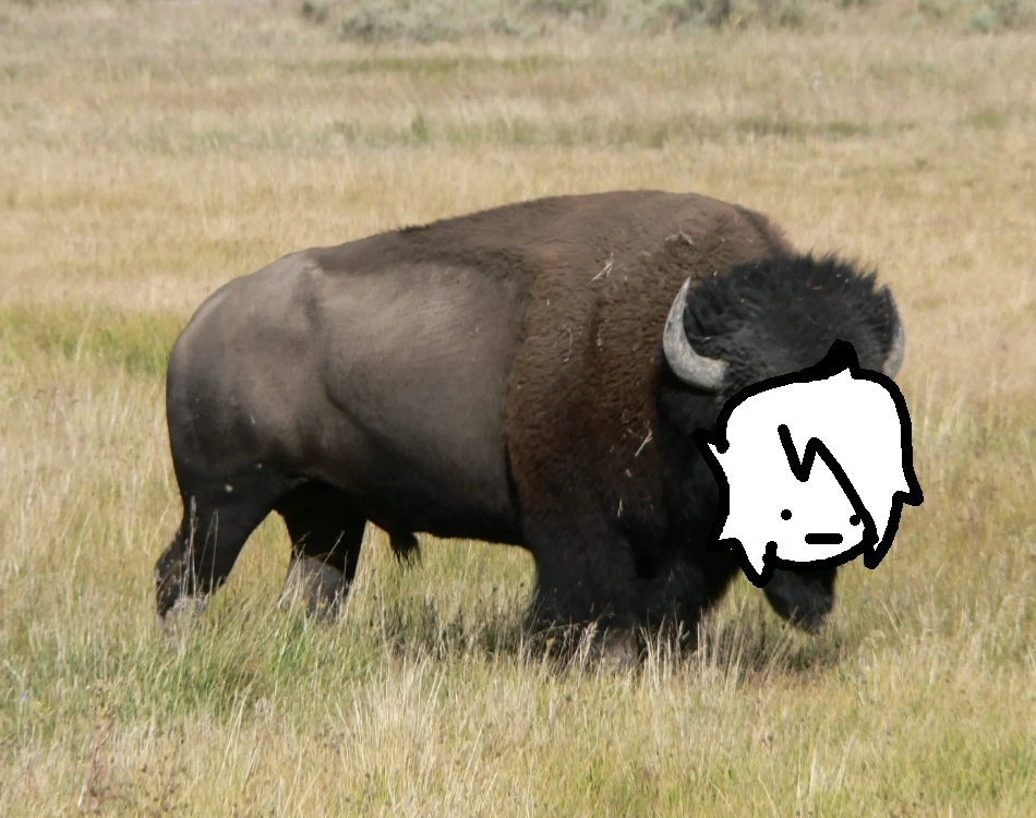 My family said they would love me if I was a buffalo so | Fandom