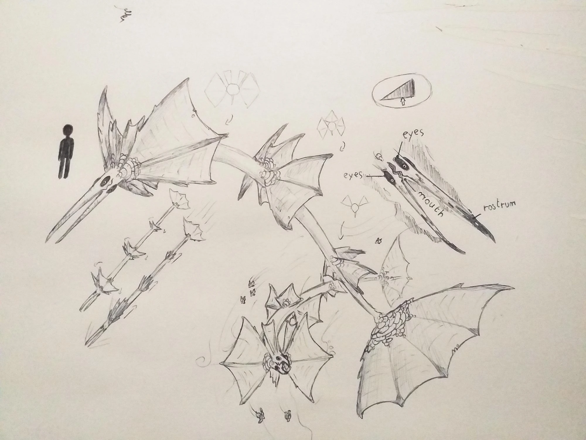 The Harpoon | Fandom