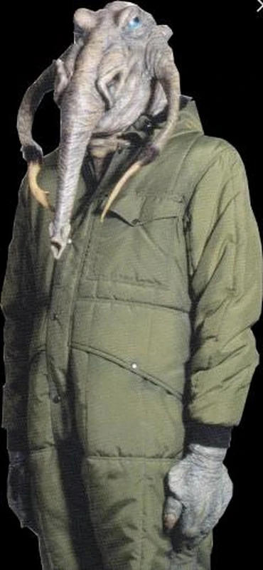 Discuss Everything About Wookieepedia | Fandom