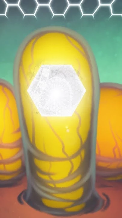 🚨 LIGHT ISLAND PAIRONORMAL ALERT ALERT ALERT 🚨 | Fandom