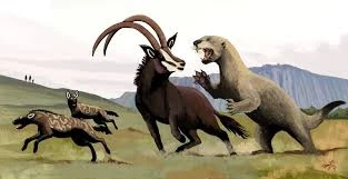 I'm so happy this thing exists | Fandom