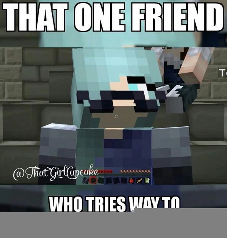 Here have my collection of Aphmau memes | Fandom