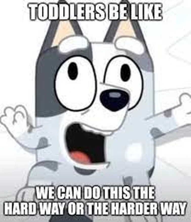 Lots of Bluey photos | Fandom